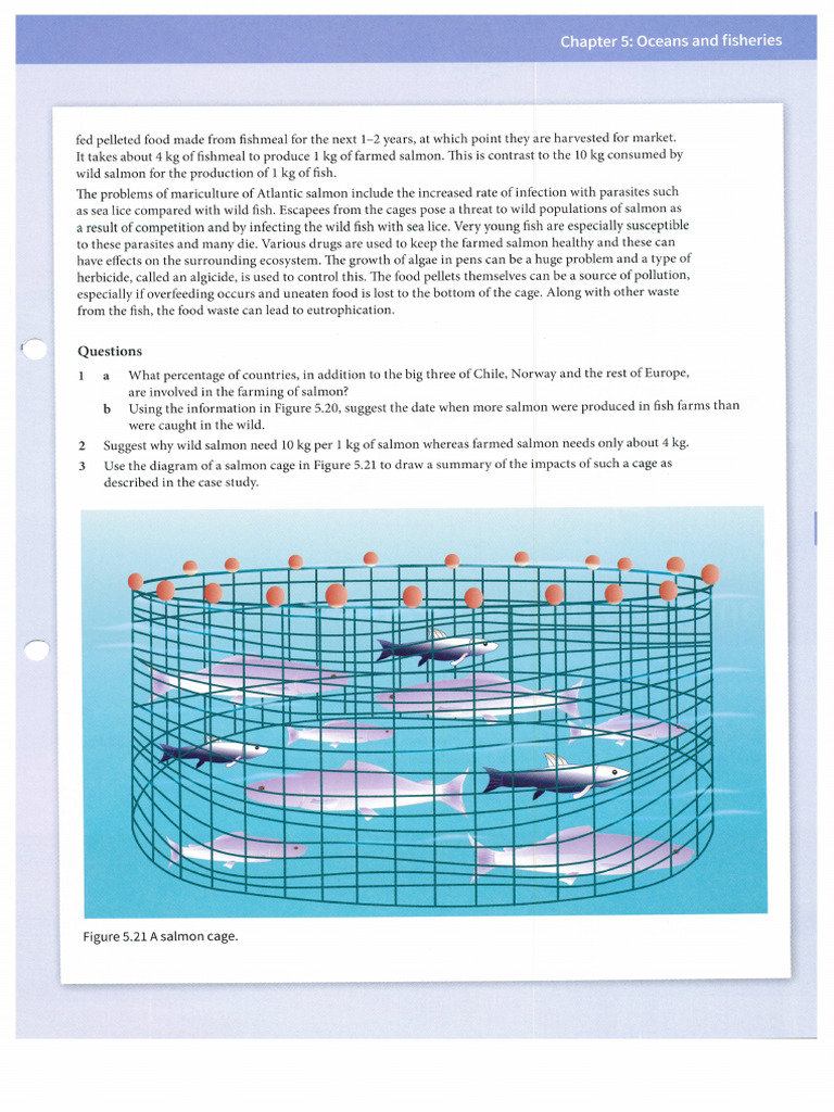 Chapter 6 Odd Pages | PDF