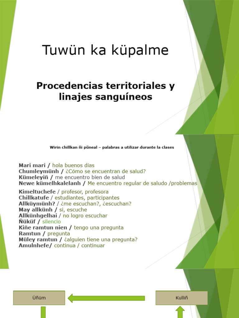 Basico Unidad 2 | PDF | Fonética