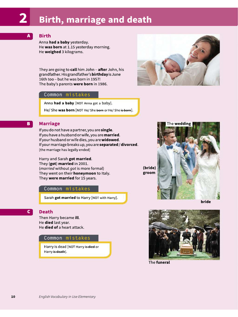 Birth Death Vocab | PDF