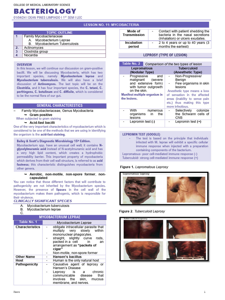 BACTE LEC 11 Mycobacteria 1 | Download Free PDF | Tuberculosis | Mycobacterium