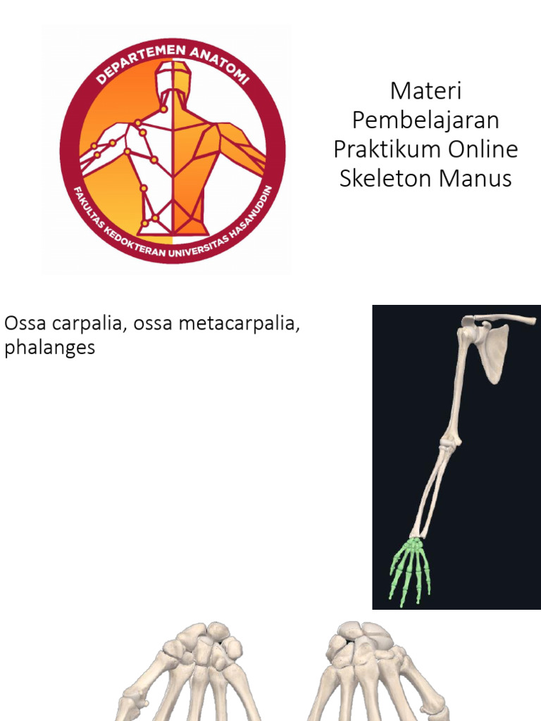Praktikum Online Skeleton Manus | PDF | Seni & Disiplin Bahasa | Kajian ...