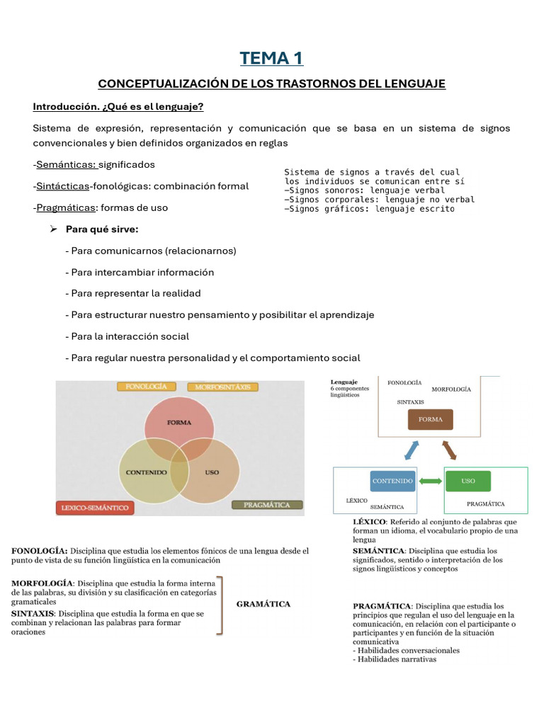 Tema 1,2 y 3 | PDF | Aquisición de idioma | Aprendizaje