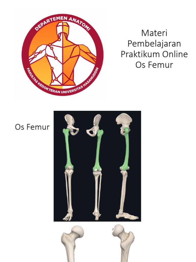 9.materi Pembelajaran Dan Soal Latihan Praktikum Online - Os Femur | PDF