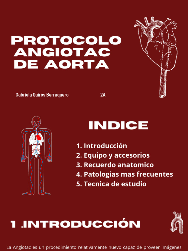Protocolo AngioTC Aorta | PDF