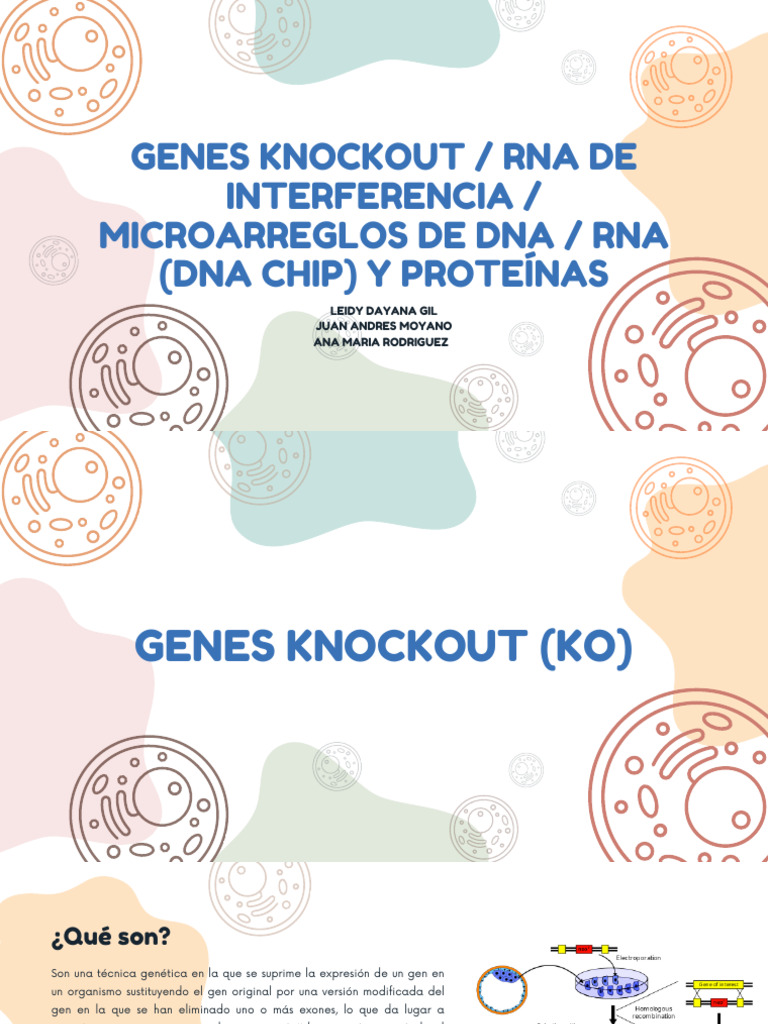 Genes Knockout RNA de Interferencia Microarreglos de DNA RNA (DNA Chip) y Proteínas | PDF ...