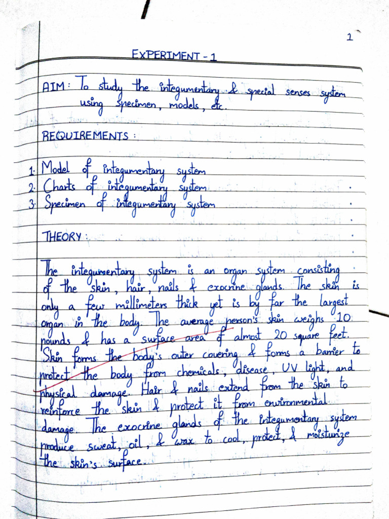 HAP II Journal Experiment 1 | PDF