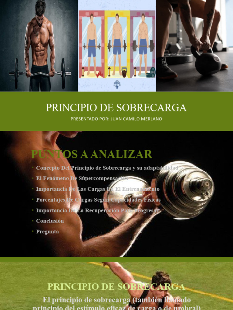 Principio de Sobrecarga | PDF