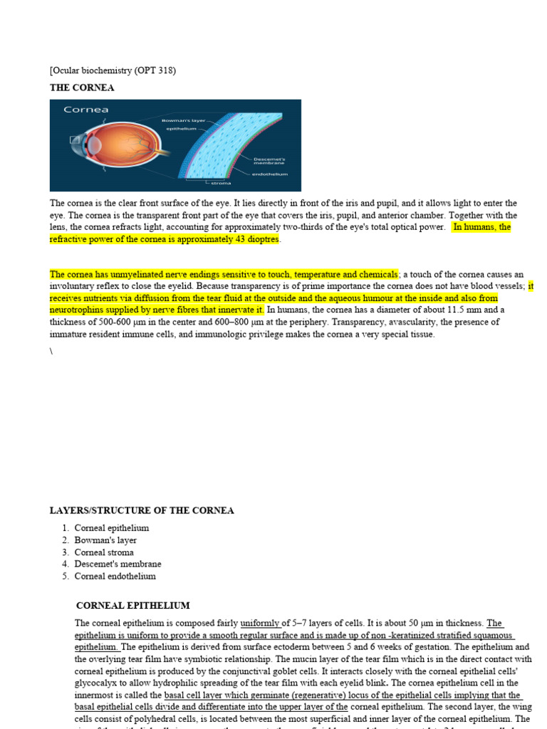 Ocular Biochemistry LECTURE NOTE-1 | PDF | Retina | Cornea