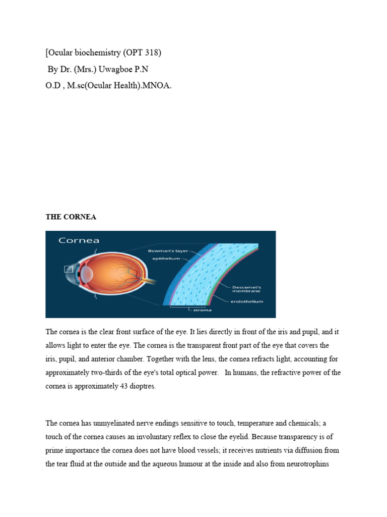Ocular Biochemistry Updated | PDF | Cornea | Retina