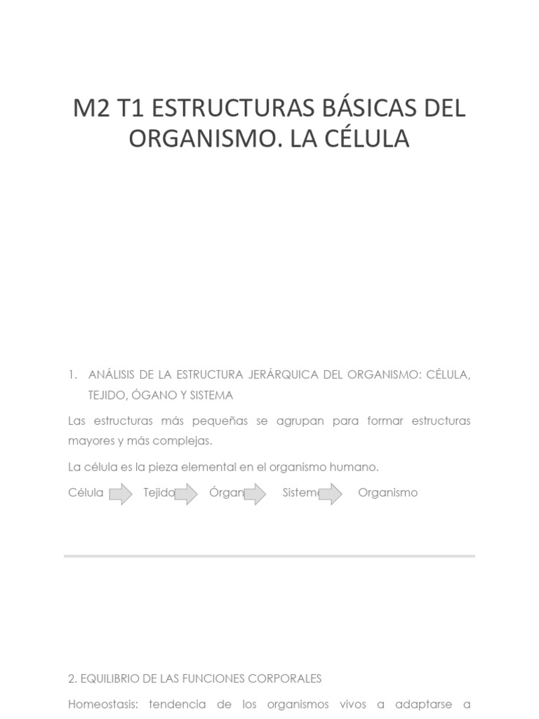 Estructuras Básicas Del Organismo | PDF | Alelo | Biología Celular)