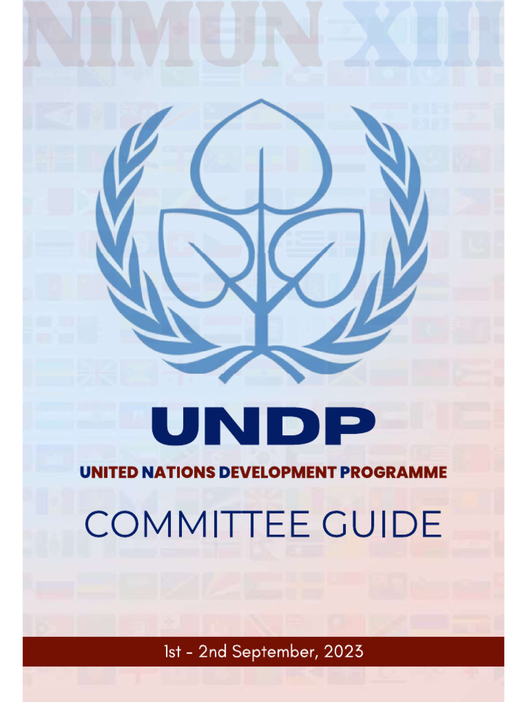 UNDP Committee Guide For Model United Nations | PDF