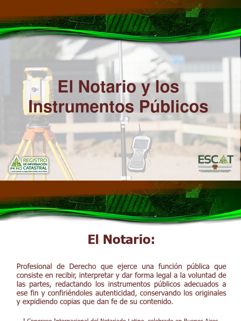 Instrumentos Públicos Notariales y su Función | PDF | Ley común ...