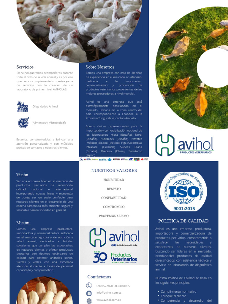 Business Brochure Template Design (Trípticos) | Descargar gratis PDF | Business | Mercado (economía)