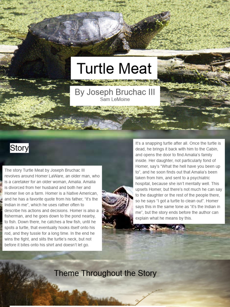 Turtle Meat: Loss and Identity | PDF | Native Americans In The United ...