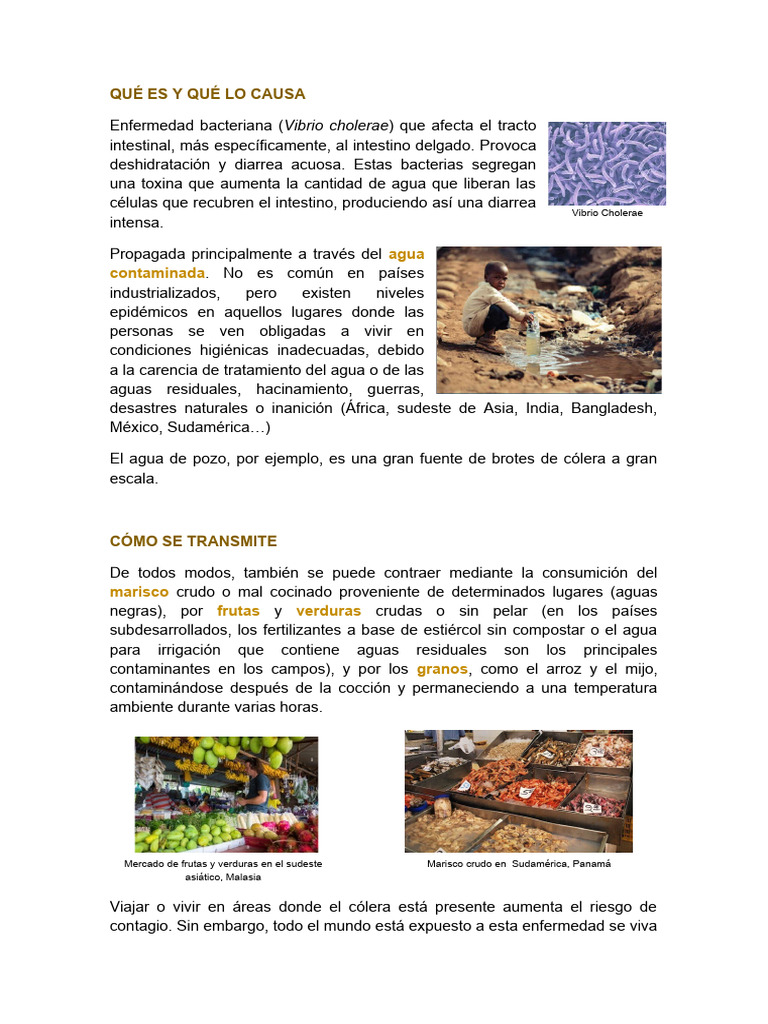 Causas, síntomas y tratamiento del cólera | PDF | Diarrea | Cólera