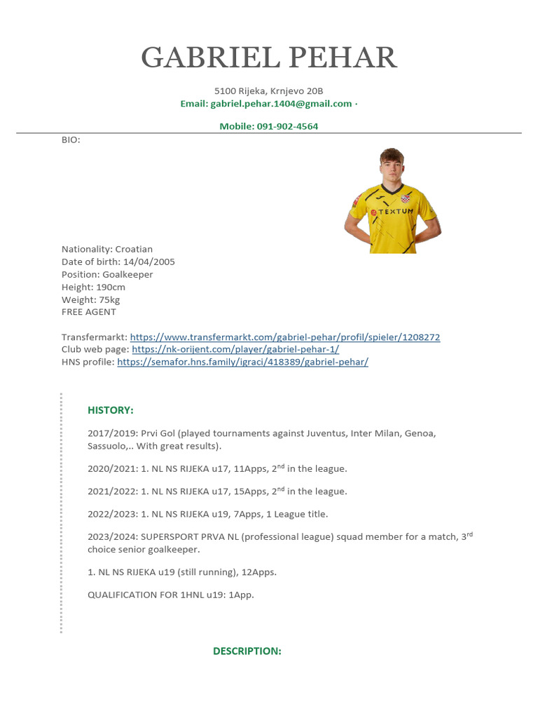 Gabriel Pehar: Goalkeeper Profile CV | PDF | Communication