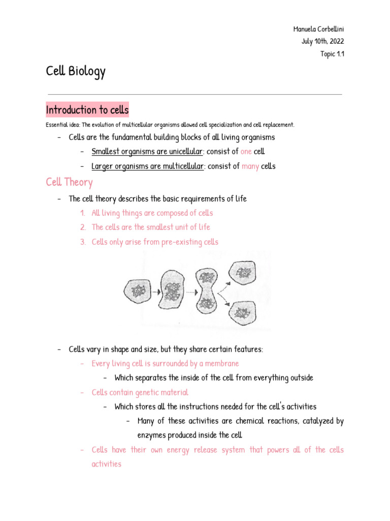 IB Biology HL Topic 1.1 | PDF | Stem Cell | Cell (Biology)