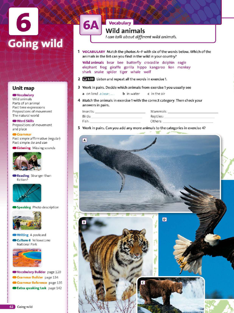 Solutions Elementary 3rd Ed SB - Page-0063 | PDF