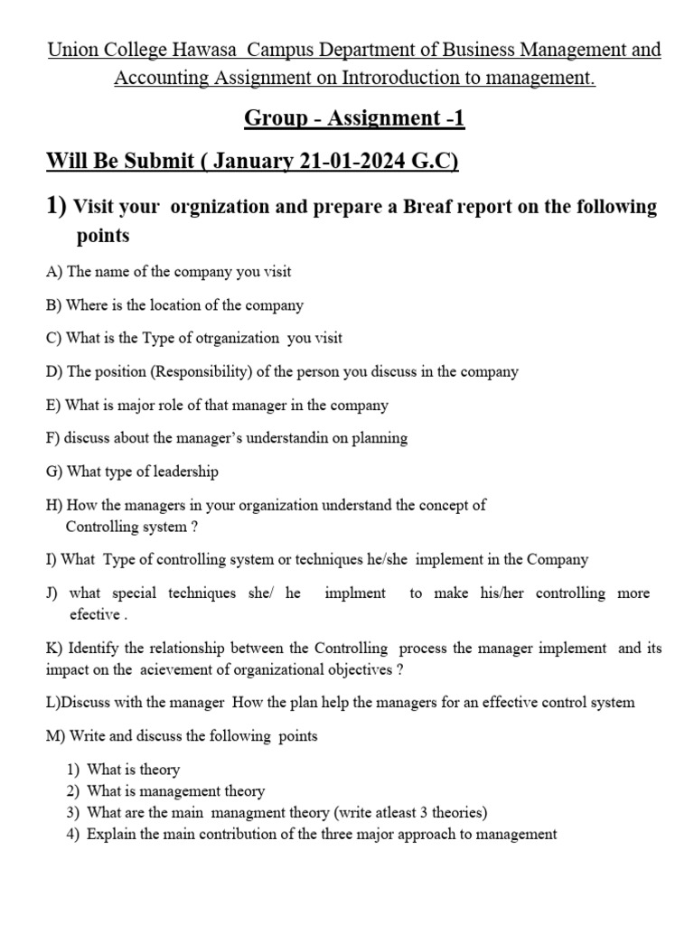 Management Assignment Overview | PDF