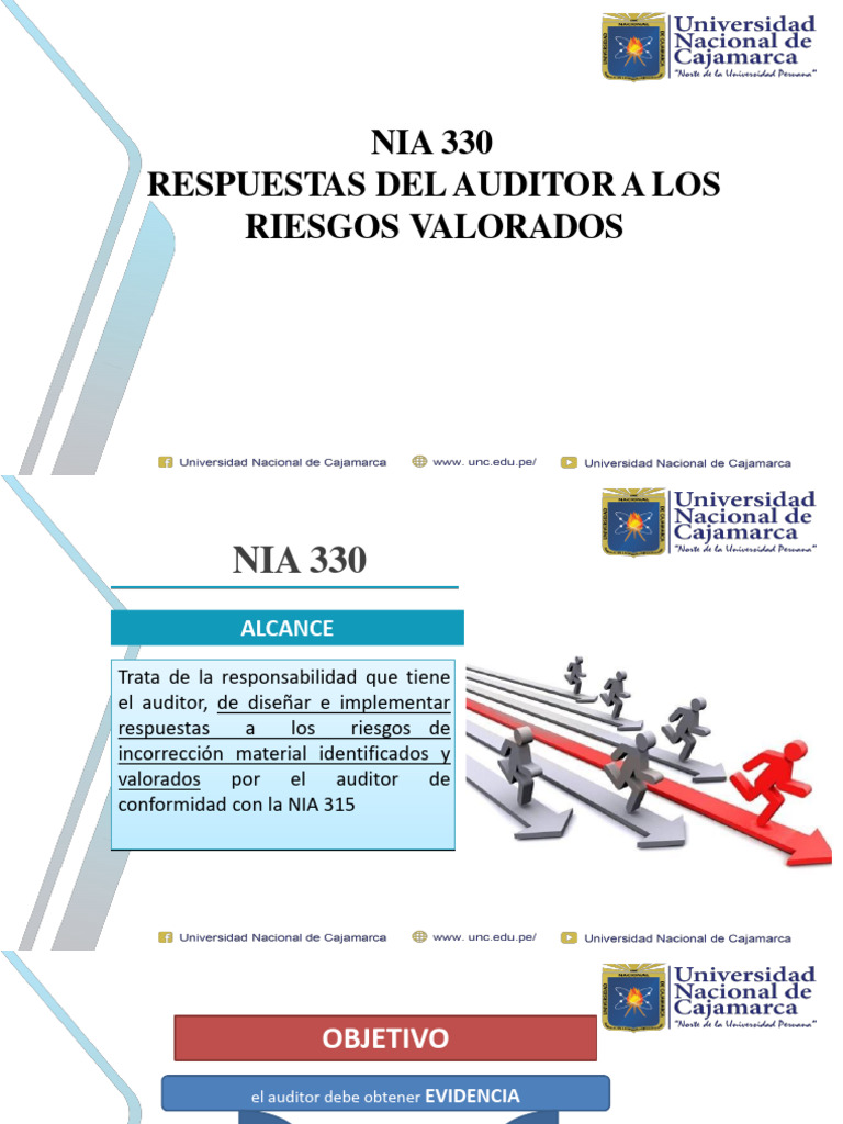 Unc Af Sesion 7 Nia-330 | PDF | Auditoría | Contralor