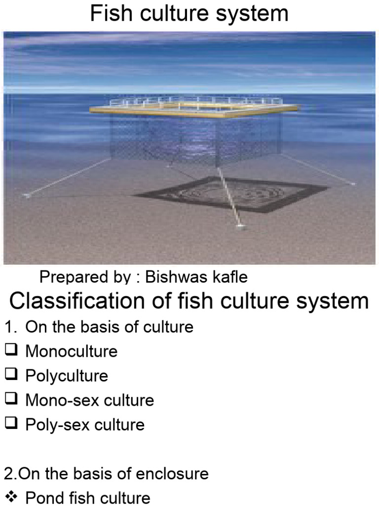 Fishculturesystem 160922060128 | PDF | Rice | Agriculture