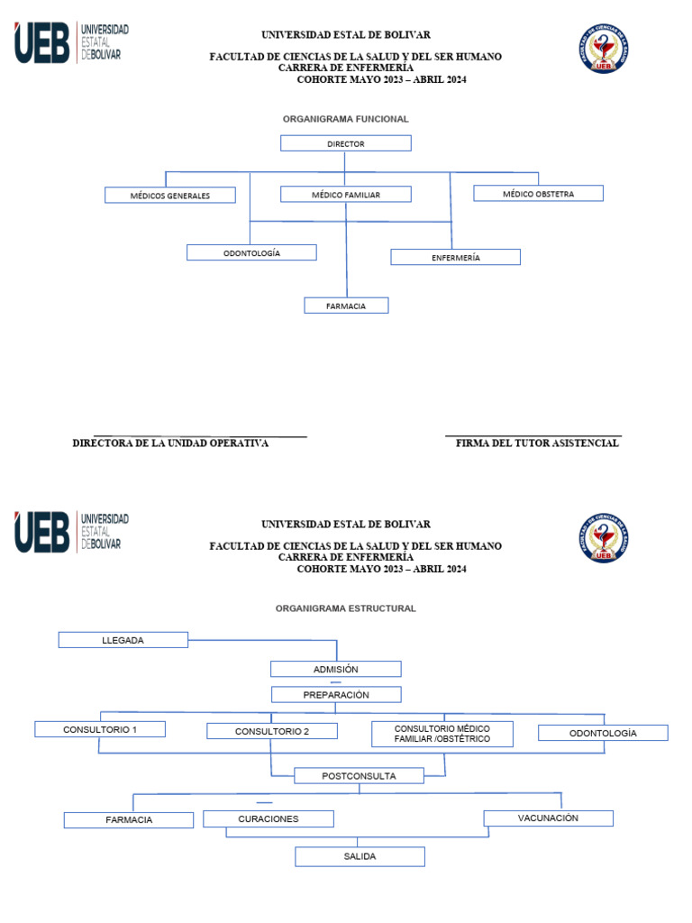 Organigrama Estructural y Funcional Ueb | PDF