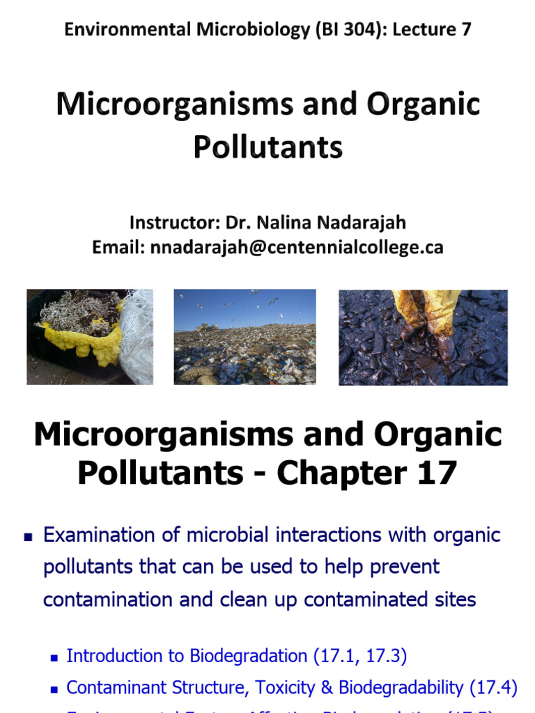 Lecture 7 - Microbes - Organic Pollutants | PDF | Alkane | Biodegradation