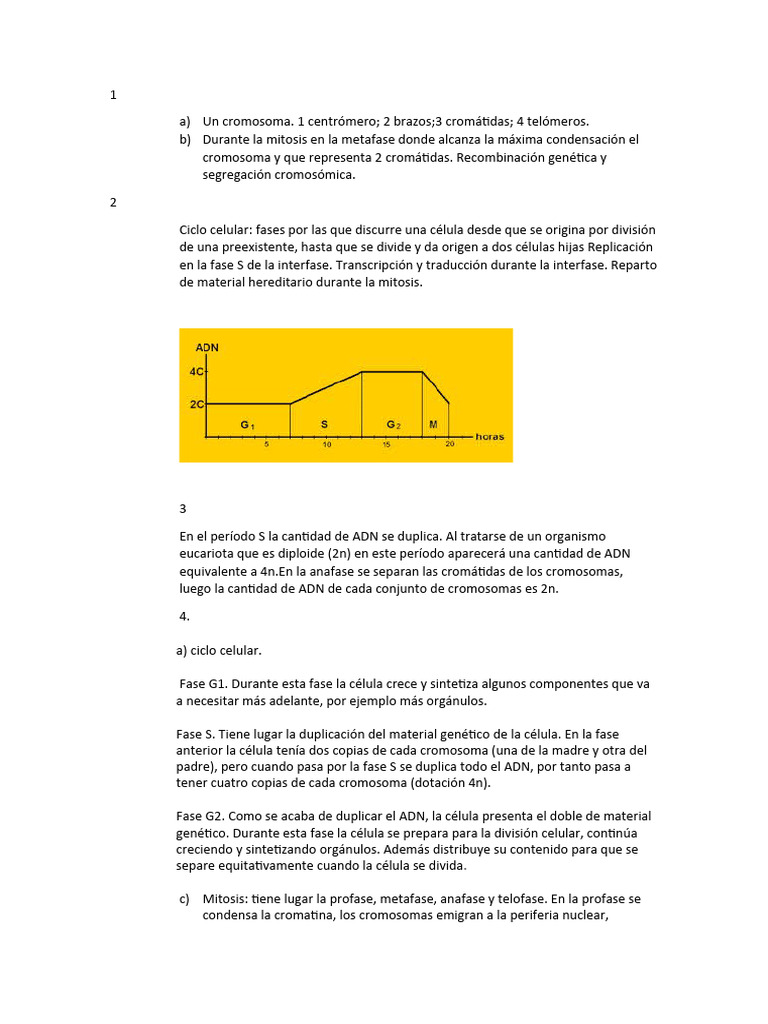 Ejs B Tema 9 | PDF | Mitosis | Mitosis