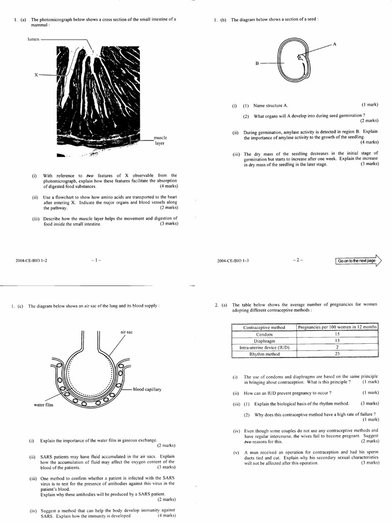 Paper 2 Biology 2004 Paper 1+2 | PDF