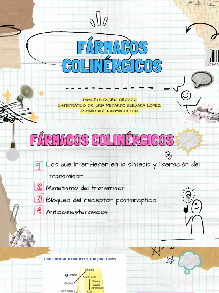 Colinérgicos y Anticolinérgicos | PDF | Acetilcolina | Especialidades ...