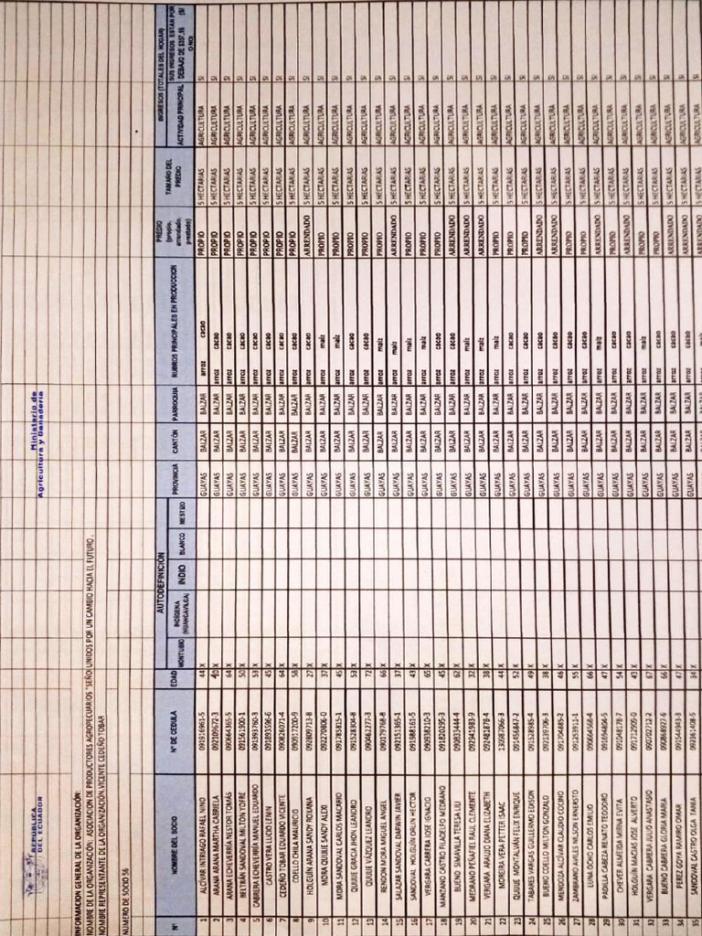 Asociacion Unidos Por El Cambio Francisco Rule | PDF