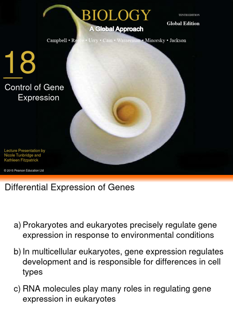 Biology: Control of Gene Expression | PDF | Operon | Repressor