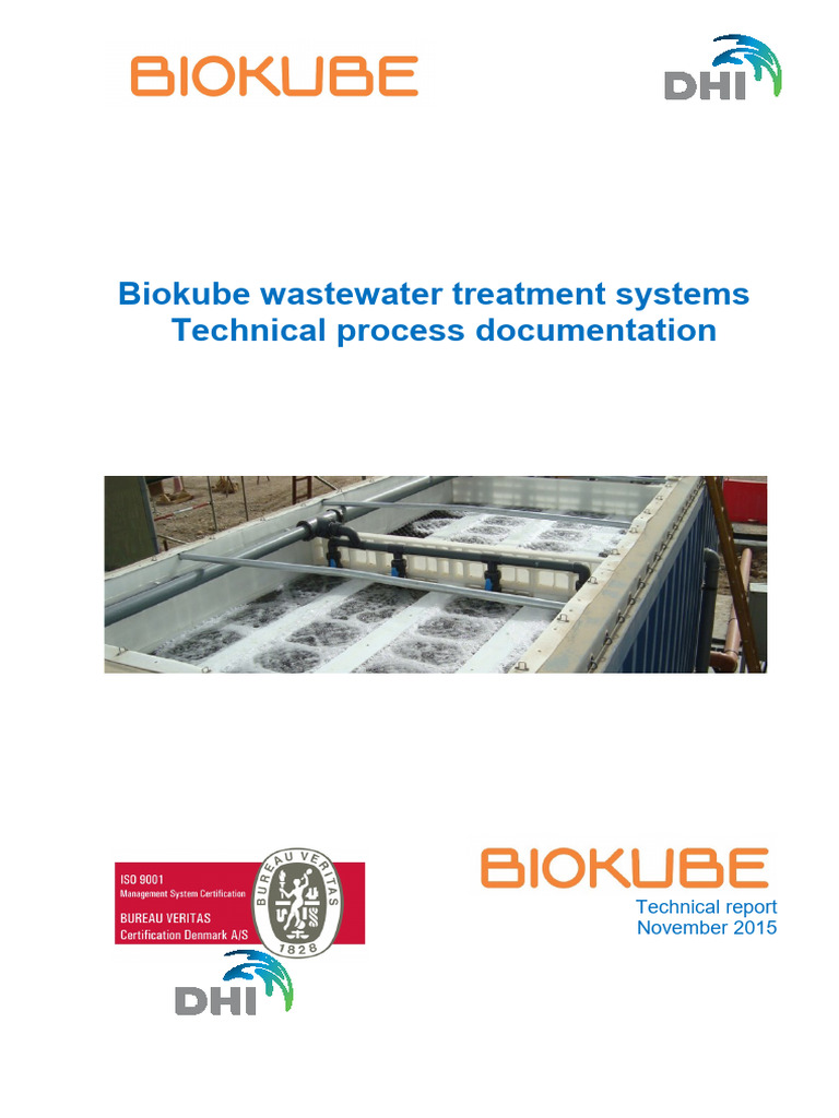 Biokube Technical Process Documentation | PDF | Reaction Rate | Diffusion