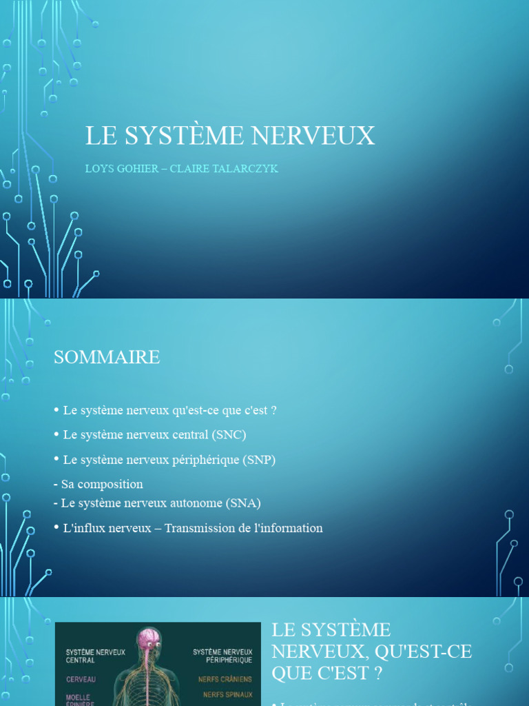 Le Systã Me Nerveux | PDF | Système nerveux | Système nerveux central