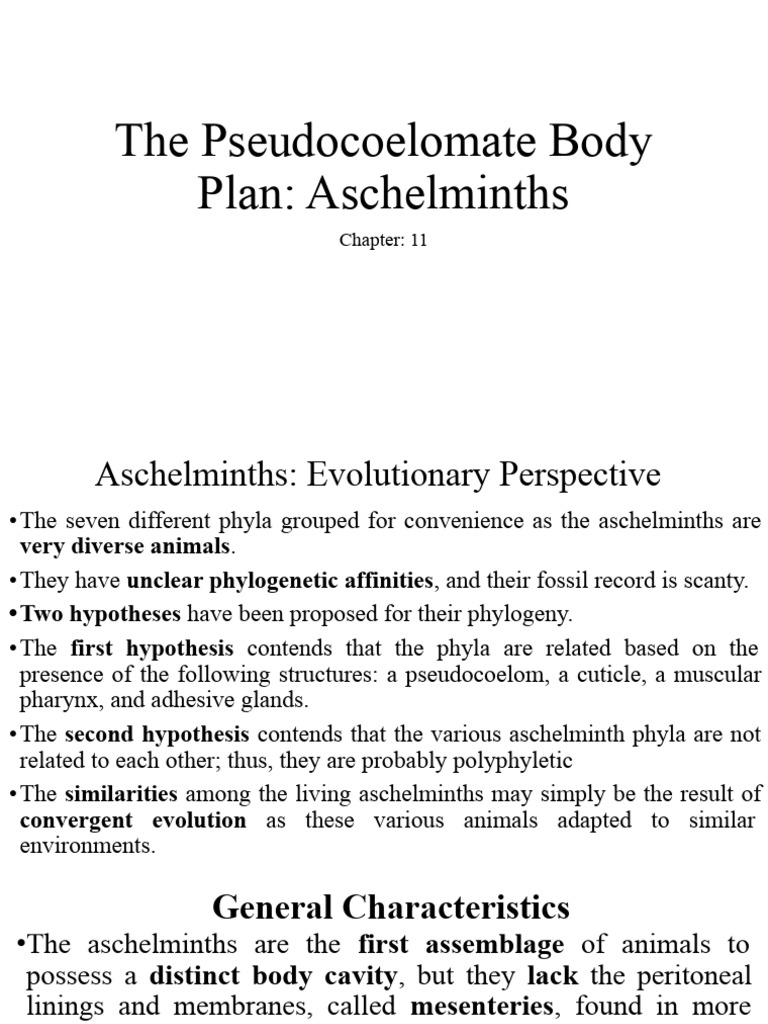 Aschelminths: Evolution & Features | PDF | Nematode | Anatomy