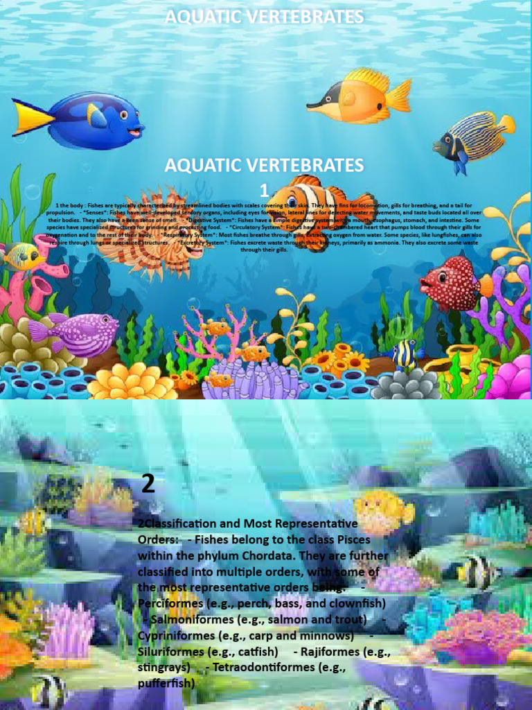 Aquatic Vertebrates | PDF