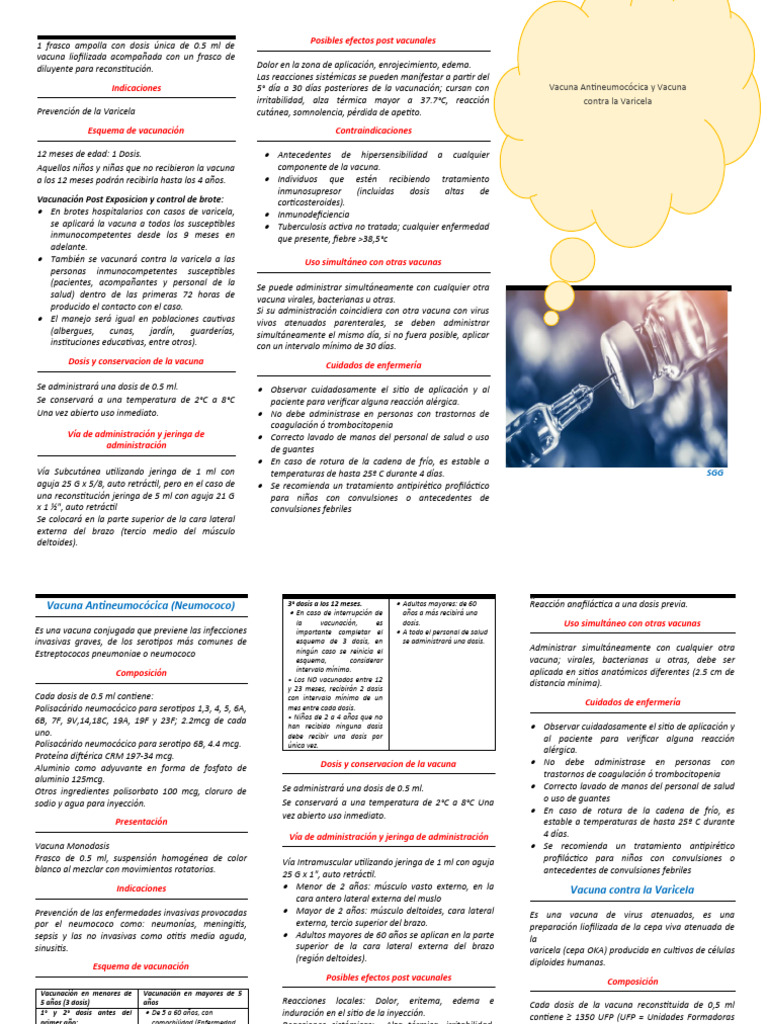 Vacunas Neumococo | PDF | Vacunas | Medicina