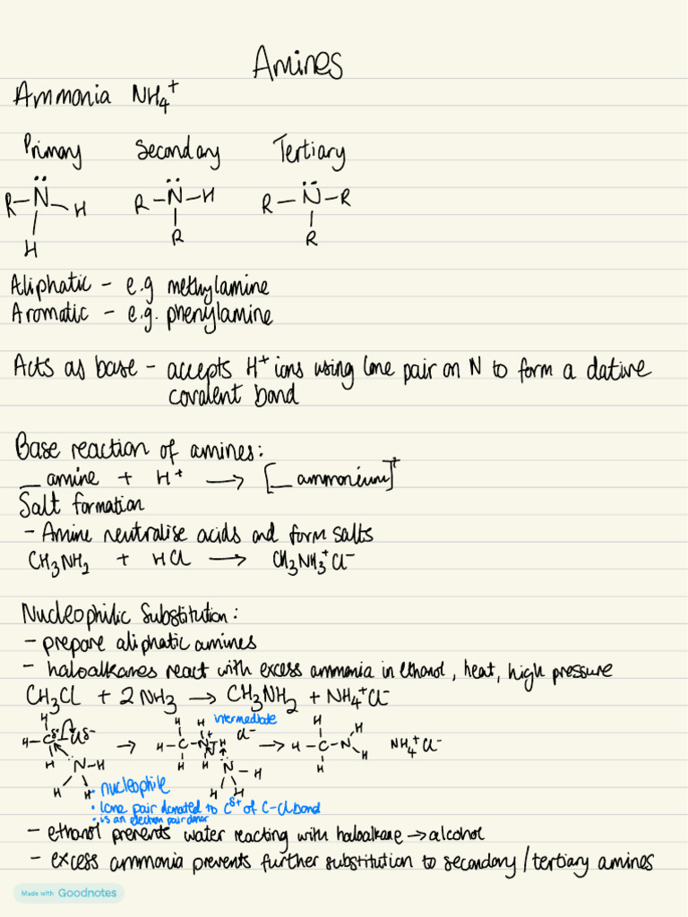 Amines | PDF | Amine | Physical Sciences