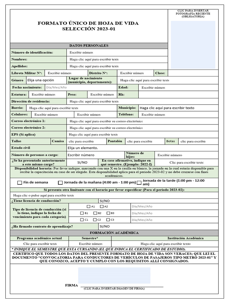 Formato Nico de Hoja de Vida | PDF