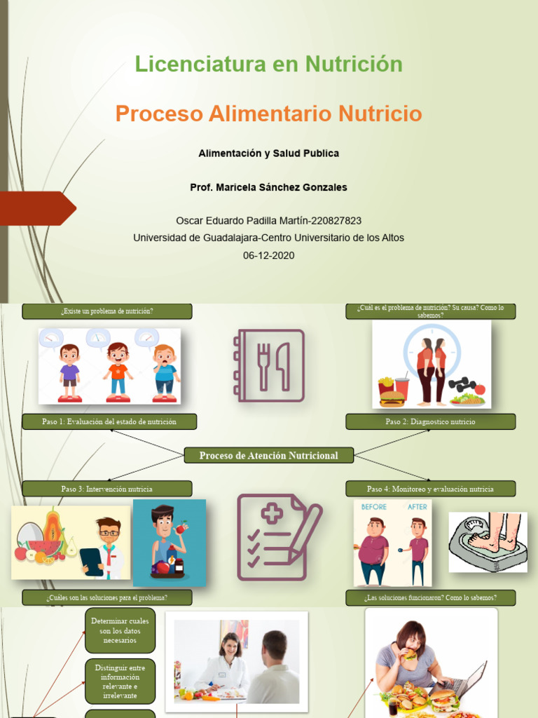 Mapa Conceptual del Proceso Nutricional | PDF