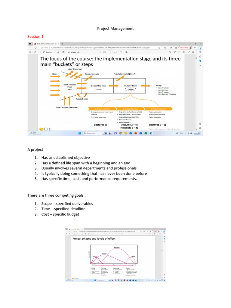Project Management Fiche | PDF | Net Present Value | Business