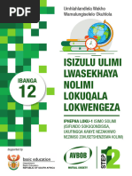 Izingcezu Zenkulumo | PDF | Language Mechanics | Semantics