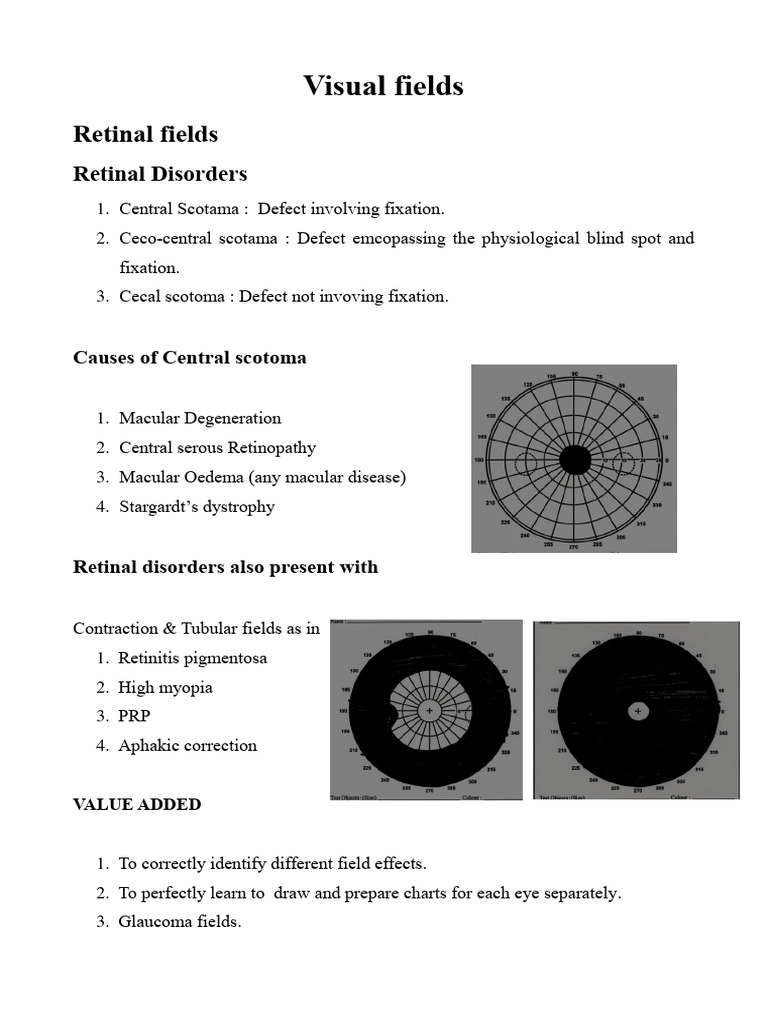 Visual Field - Notes | PDF | Light | Diseases And Disorders