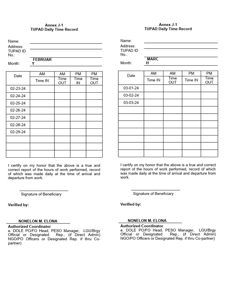 Annex J DTR Tupad Feb March | PDF
