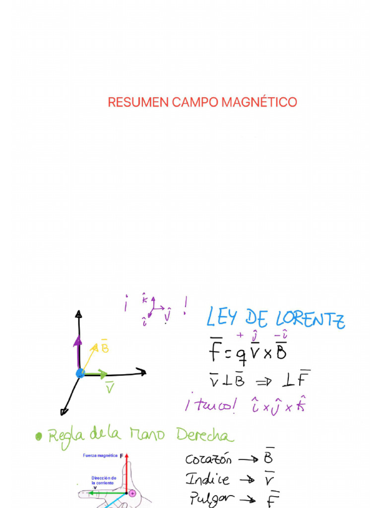 Resumen Campo Magnético | PDF