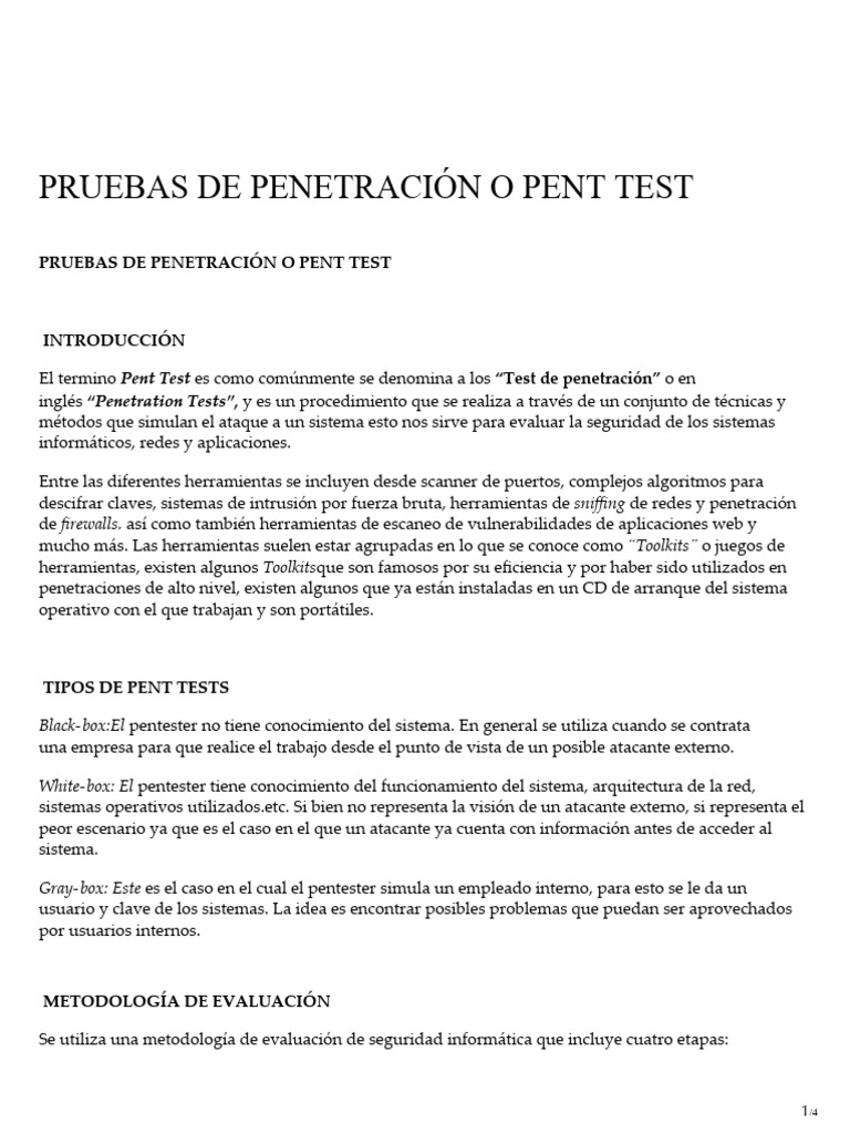 Pruebas De Penetracion O Pent Test Pdf Vulnerabilidad Informática Planificación