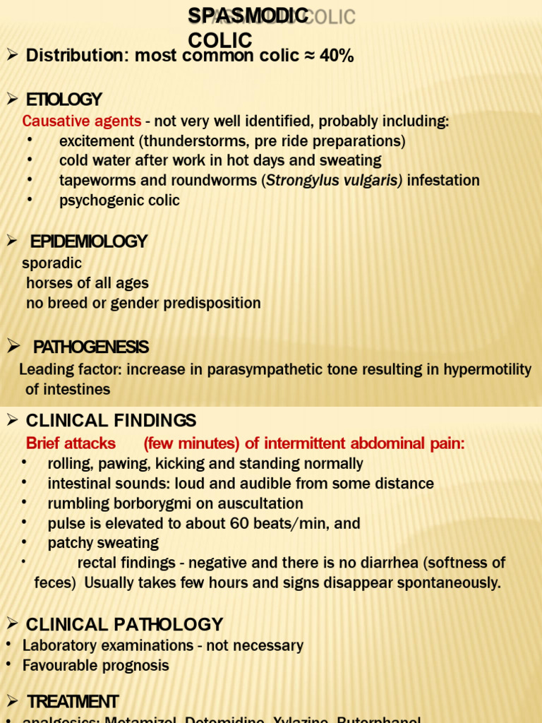 Lecture 4 - Spasmodic Colic Horse | PDF | Medical Specialties ...