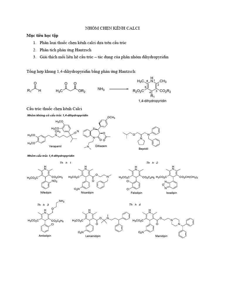 2024 Note Chương Tim Mach Buoi 2 | PDF