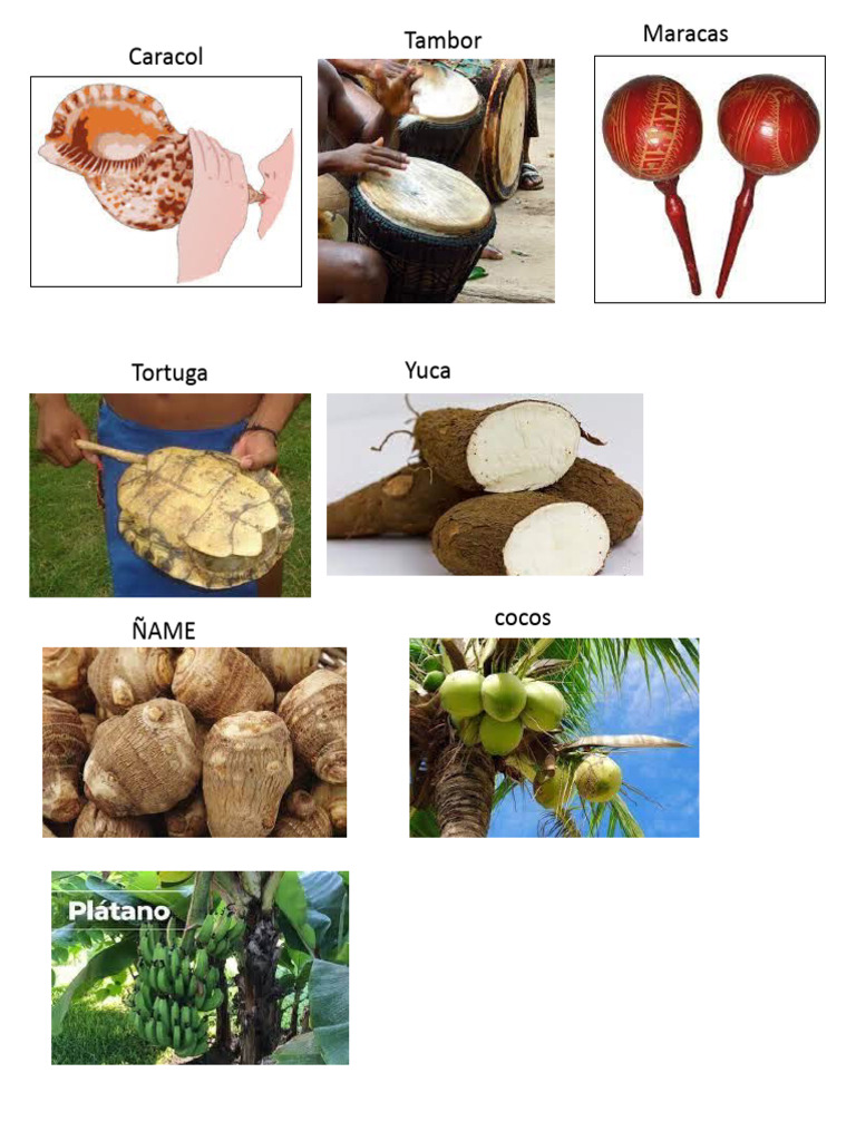 Instrumentos Musicales Garífunas | PDF