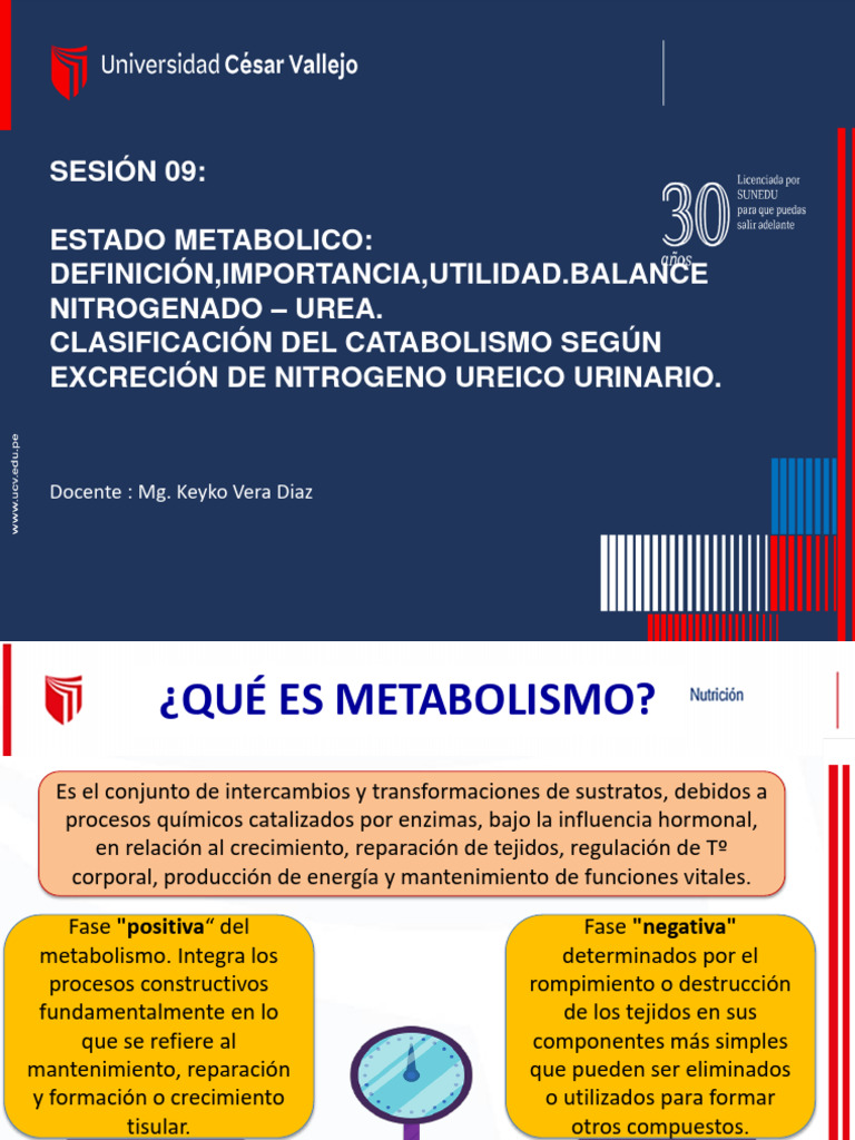Sesión 9 Balance Nitrogenado | Descargar gratis PDF | Orina | Proteínas